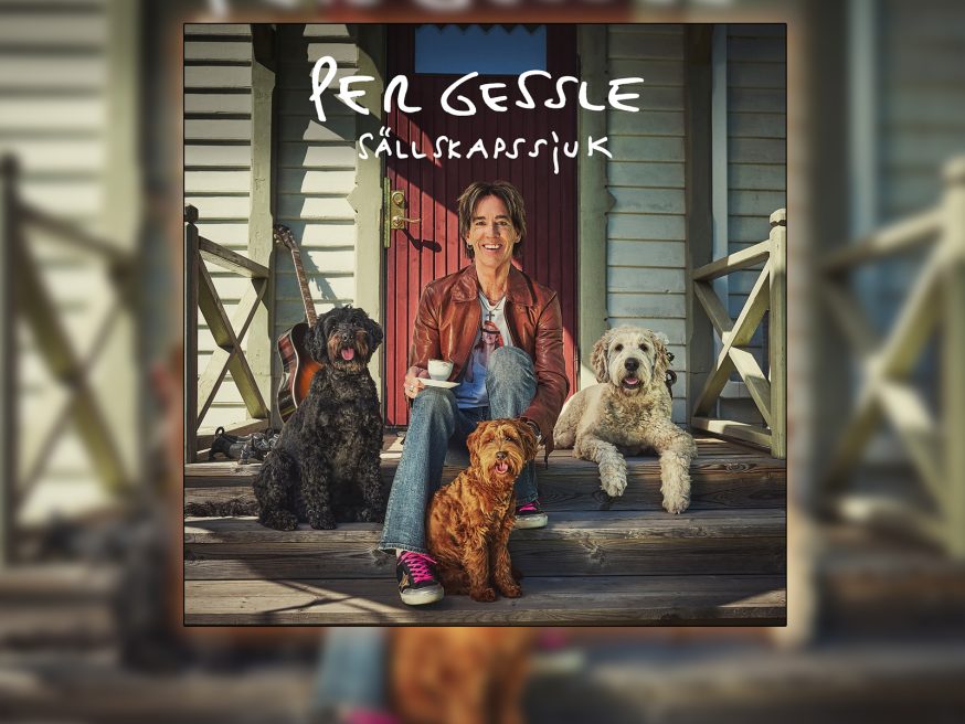 The Daily Roxette » TDR Archive » Per Gessle: Sällskapssjuk. A review.